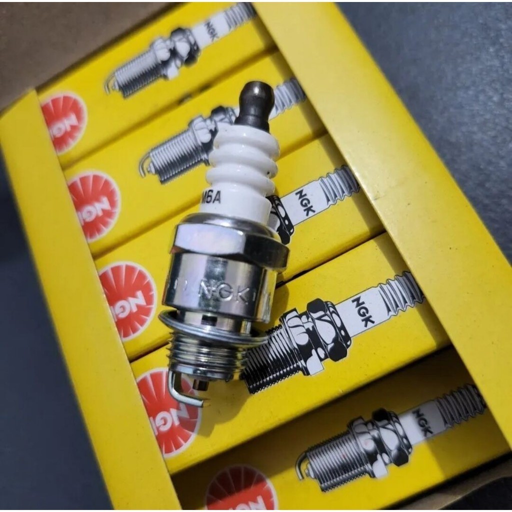 Jual BUSI NGK BP6A 1BOX ISI 10 UNTUK MESIN POTONG RUMPUT | Shopee Indonesia