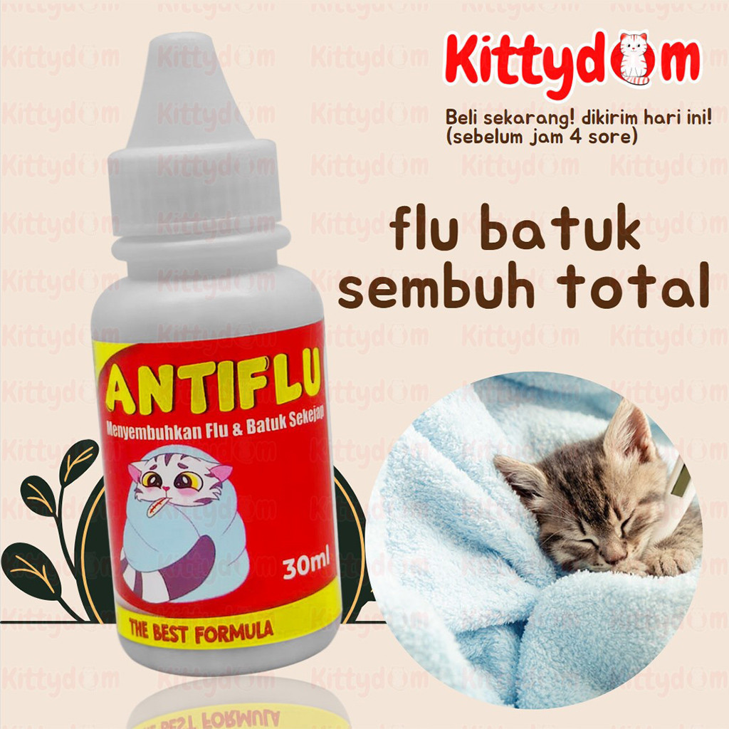 Jual KITTYDOM Anti Flu Kucing Obat Batuk Pilek Antibiotik Kucing Kitten ...