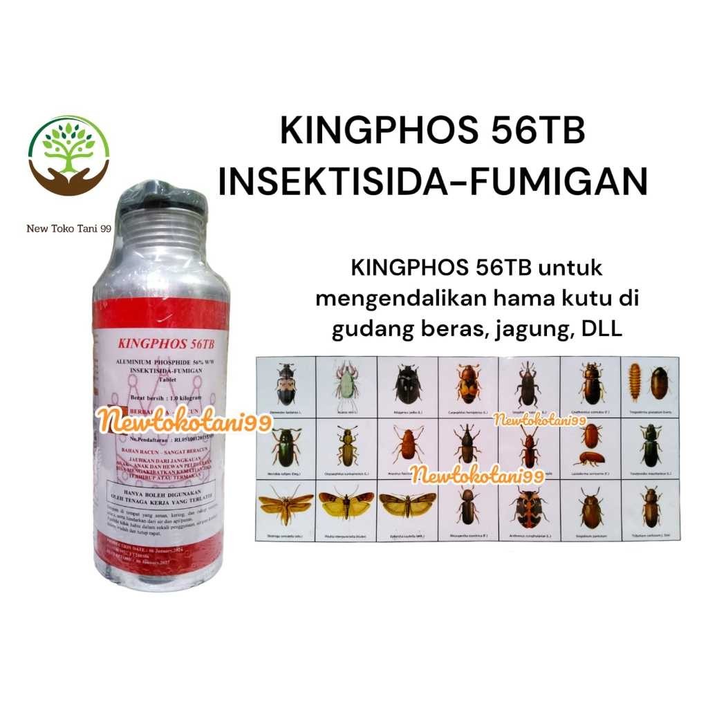 Jual KINGPHOS 56TB untuk mengendalikan hama kutu pada gudang beras ...