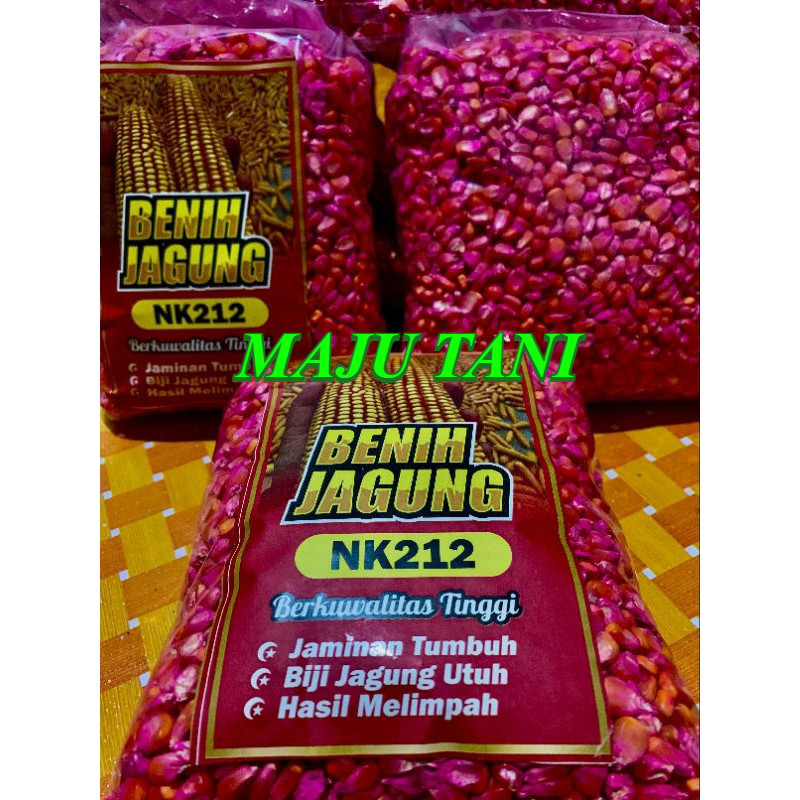 Jual 1 KG BENIH JAGUNG NK 212 ORIGINAL SUPER HASIL MELIMPAH | Shopee ...
