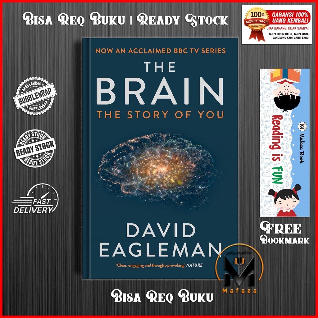 Jual The Brain: The Story of You by David Eagleman (English) | Shopee ...