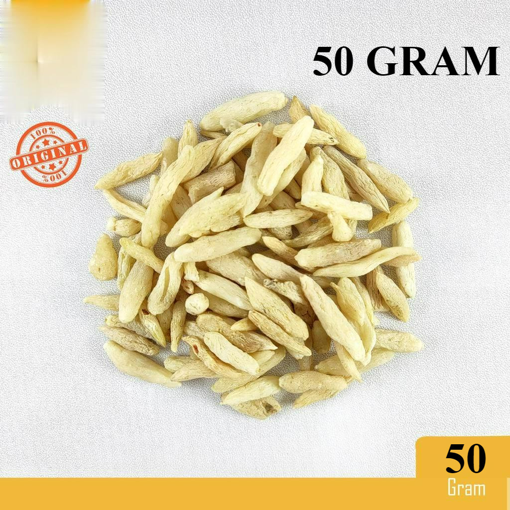 Jual MAI DONG (50 GRAM) / MAI MEN DONG / TUBER OPHIOPOGONIS JAPONICI ...