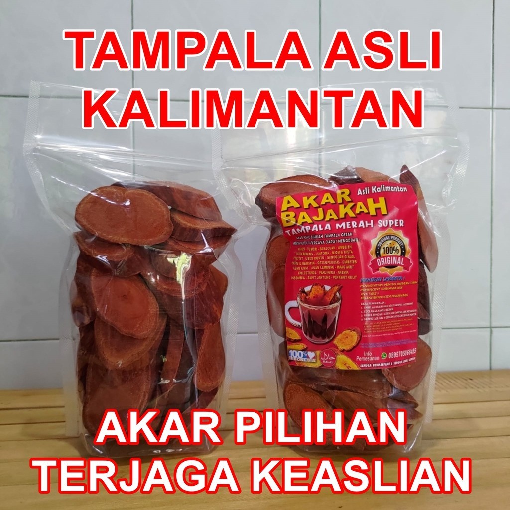 Jual AKAR BAJAKAH TAMPALA - HERBAL SUKU DAYAK ASLI KALIMANTAN - KAYU ...