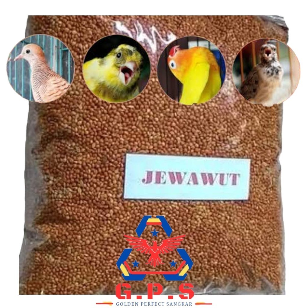 Jual Jewawut Kemasan 1kg Pakan Harian Blackthroat Mozambik Sanger Finch ...