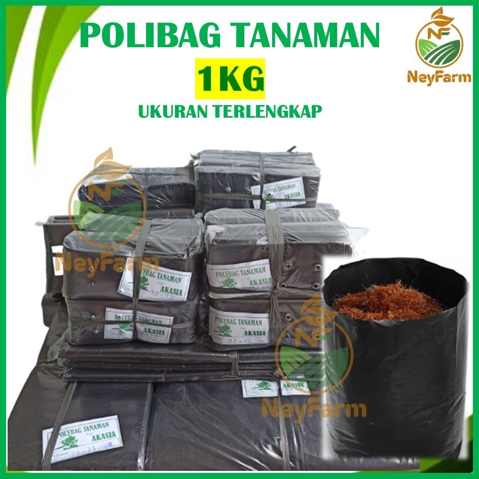 Jual Polybag Polibag 1kg Ukuran 10x12 12x12 12x15 15x15 15x20 18x18 ...