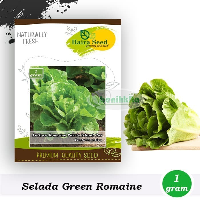 Jual GIFT Original Haira Seed Benih Selada Green Romaine Lettuce Parris Island | Shopee Indonesia