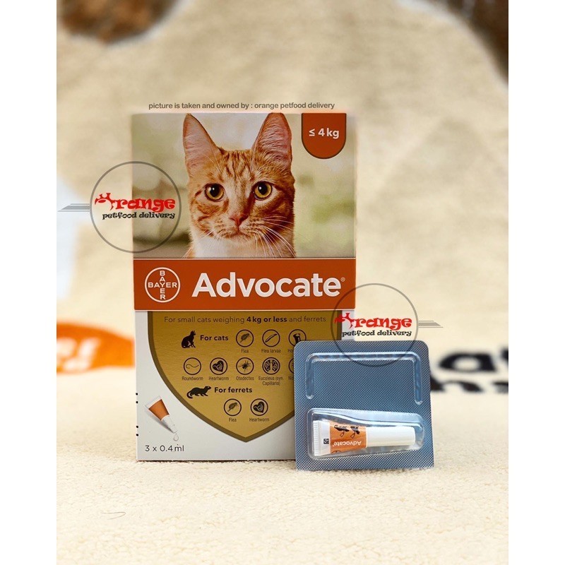 Jual dl19pa advocate flea & tick small cat per tube obat kutu kucing ...