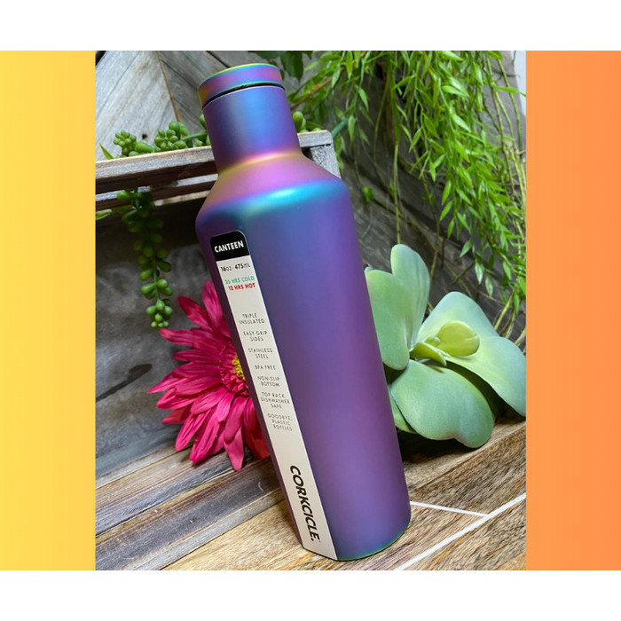 Jual Tumbler Corkcicle Canteen 16 oz / 475 ml Dragonfly - tumblr air ...