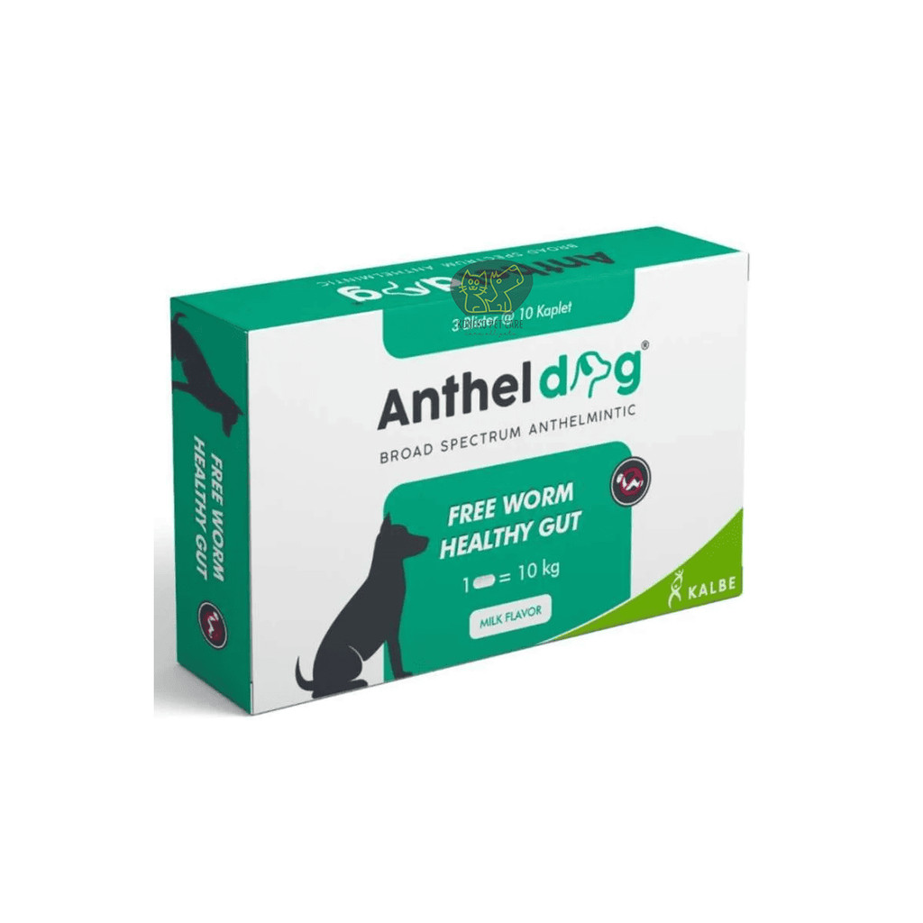 Jual anthel dog per tablet obat cacing anjing | Shopee Indonesia