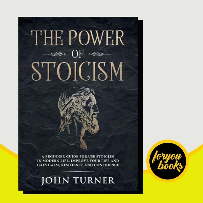 Jual The Power of Stoicism: A Beginner Guide For Use Stoicism in Modern ...