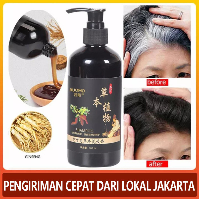 Jual Shampoo Black Herbal Natural Polygonum perawatan rambut anti uban ...