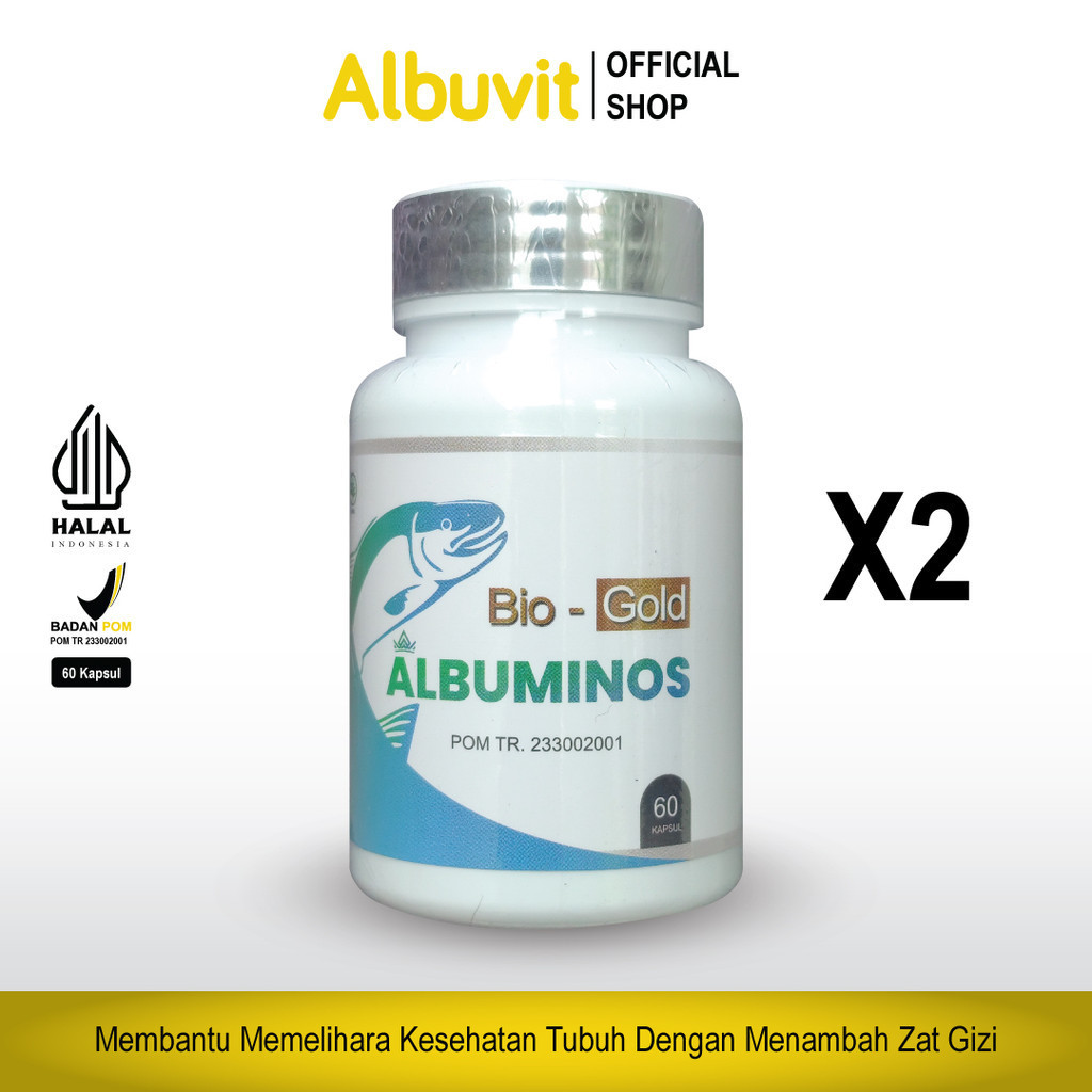 Jual PAKET 2 BOTOL ALBUMINOS Kapsul Ekstrak Ikan Gabus Kutuk Channa Striata - Bantu Luka Operasi ...