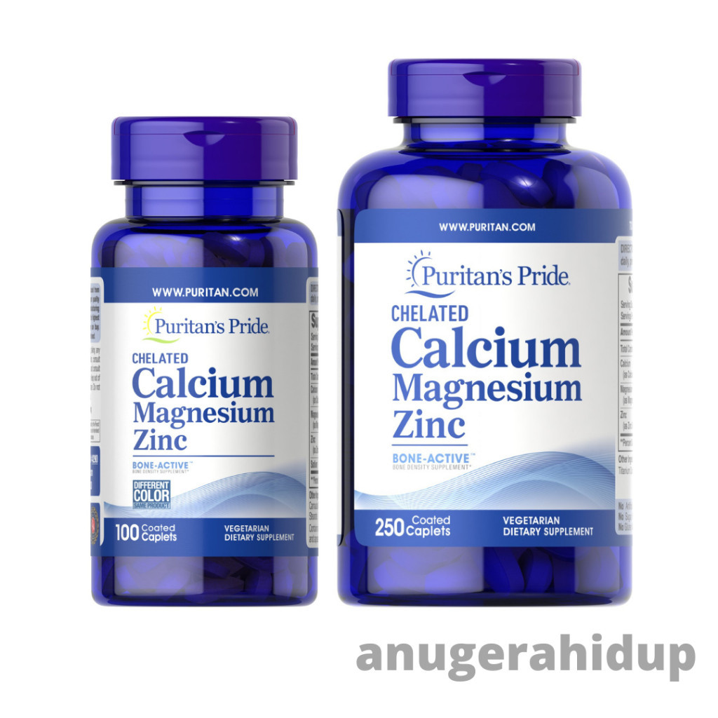 Jual Puritan Pride Chelated Calcium Magnesium Zinc Suplemen Kesehatan ...