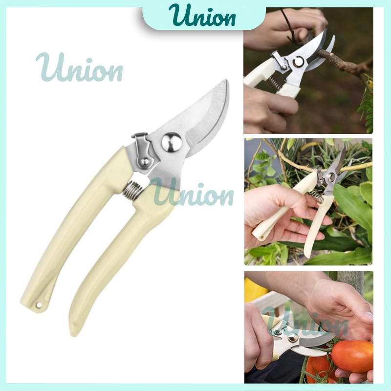 Jual UM Gunting Dahan Ranting / Ranting Batang Tanaman Bunga Pruning ...