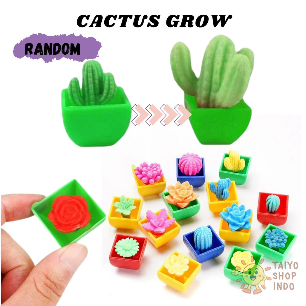 Jual TAIYO Mainan Anak Cactus Grow Rendaman Tanaman Kaktus Pot Membesar ...