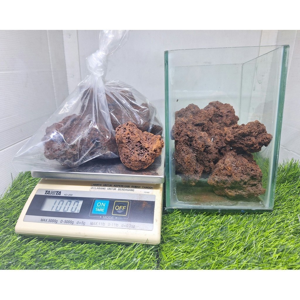 Jual Media Filter Aquarium LAVA ROCK Ukuran 1 KG Lava Rock Aquaspace ...