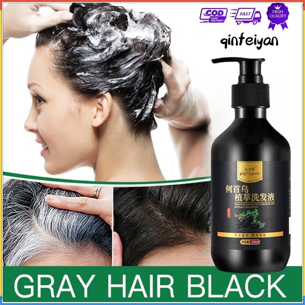 Jual Qinfeiyan Polygonum Multiflorum Shampoo Black Herbal Natural ...