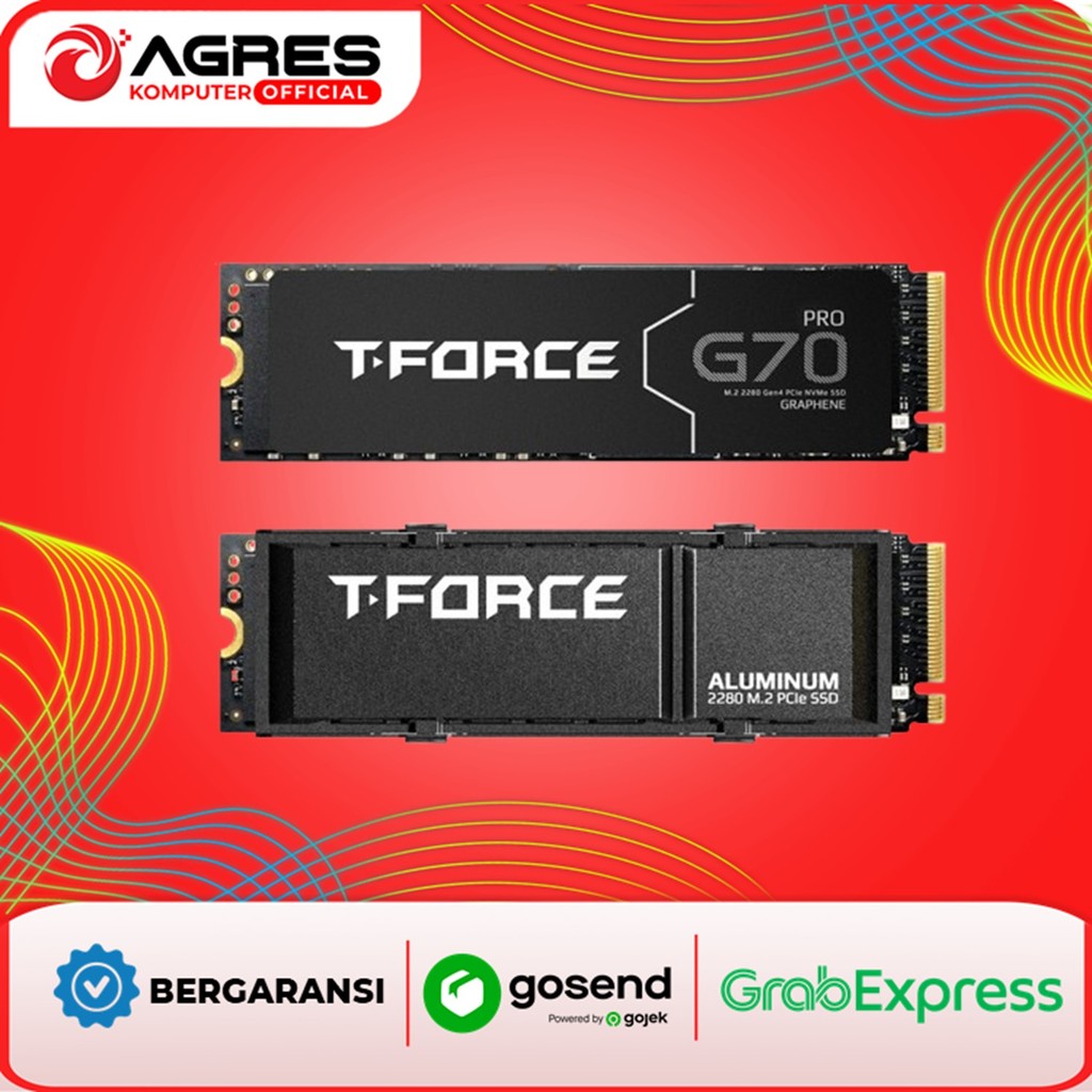 Jual Team Group T-FORCE G70 PRO Heatsink M.2 2280 1TB PCIe 4.0 NVMe Gen4 | Shopee Indonesia