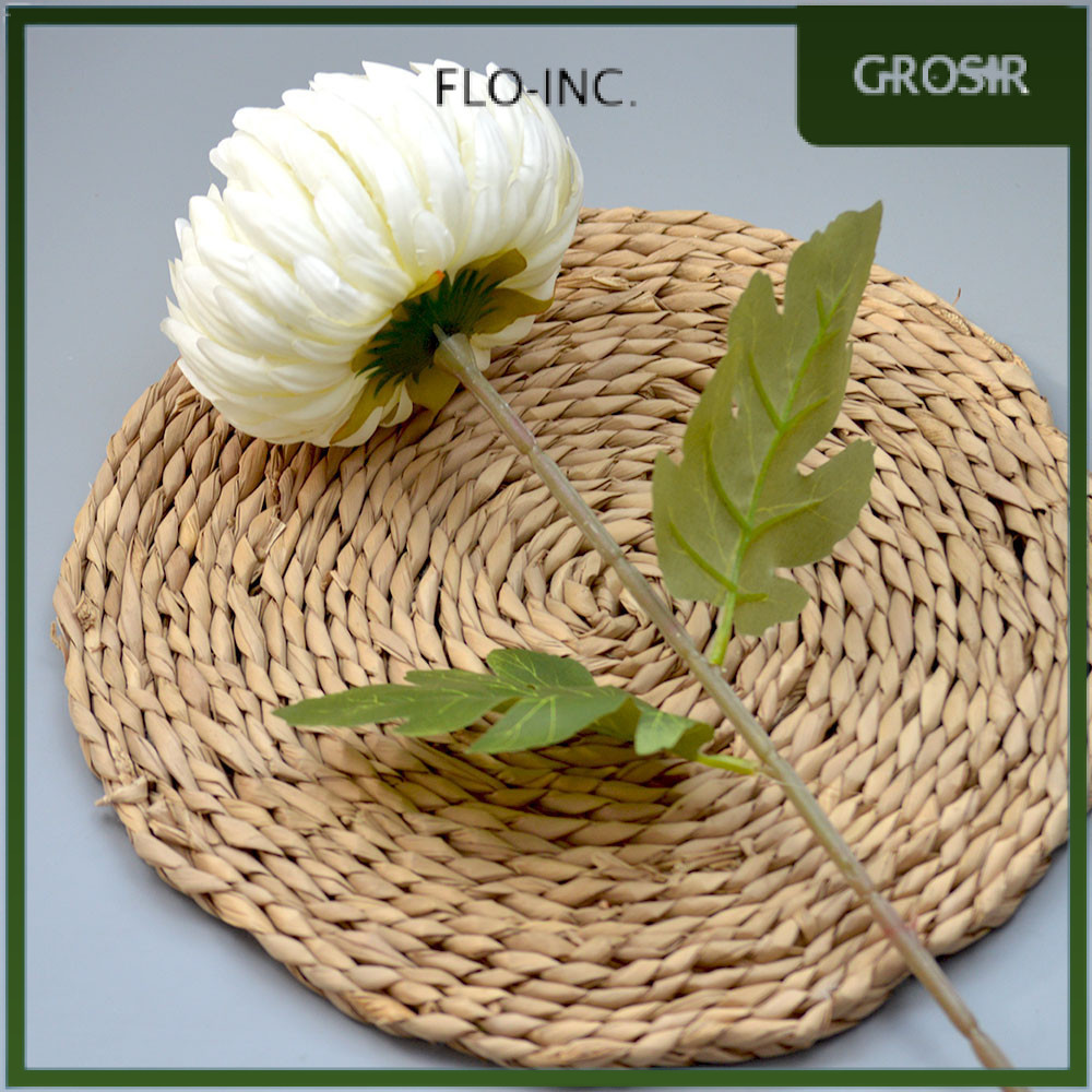 Jual FLO-INC. - C24 CHRYSANTHEMUM BUNGA Serunai 74CM Diameter 13cm ...