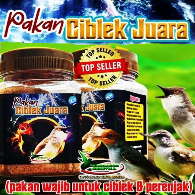 Jual Ciblek Juara Voer Vitamin Burung pakan wajib untuk ciblek ...