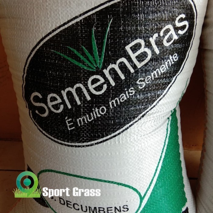 Jual Benih Rumput Bede ( Signal Grass ) 25Kg | Shopee Indonesia