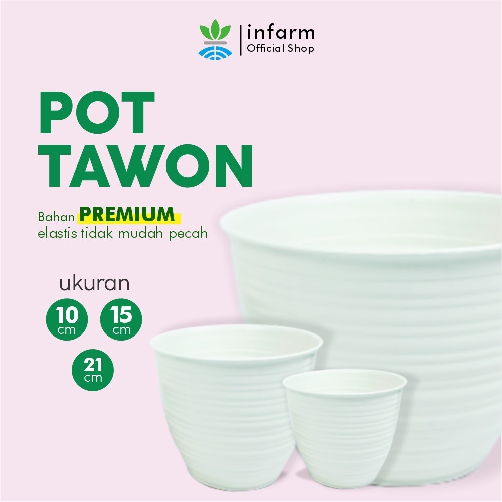 Jual KAYUAN - Pot Tawon Putih Tanaman Hias Berbagai Ukuran | Shopee ...