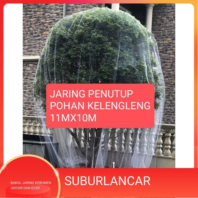 Jual Jaring pengaman tanaman buah kelengkeng dari hama burung kelelawar ...