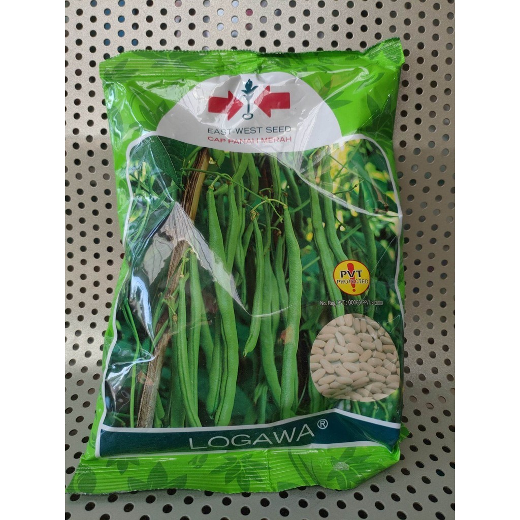 Jual Benih Buncis Logawa 500 Gram Panah Merah | Shopee Indonesia