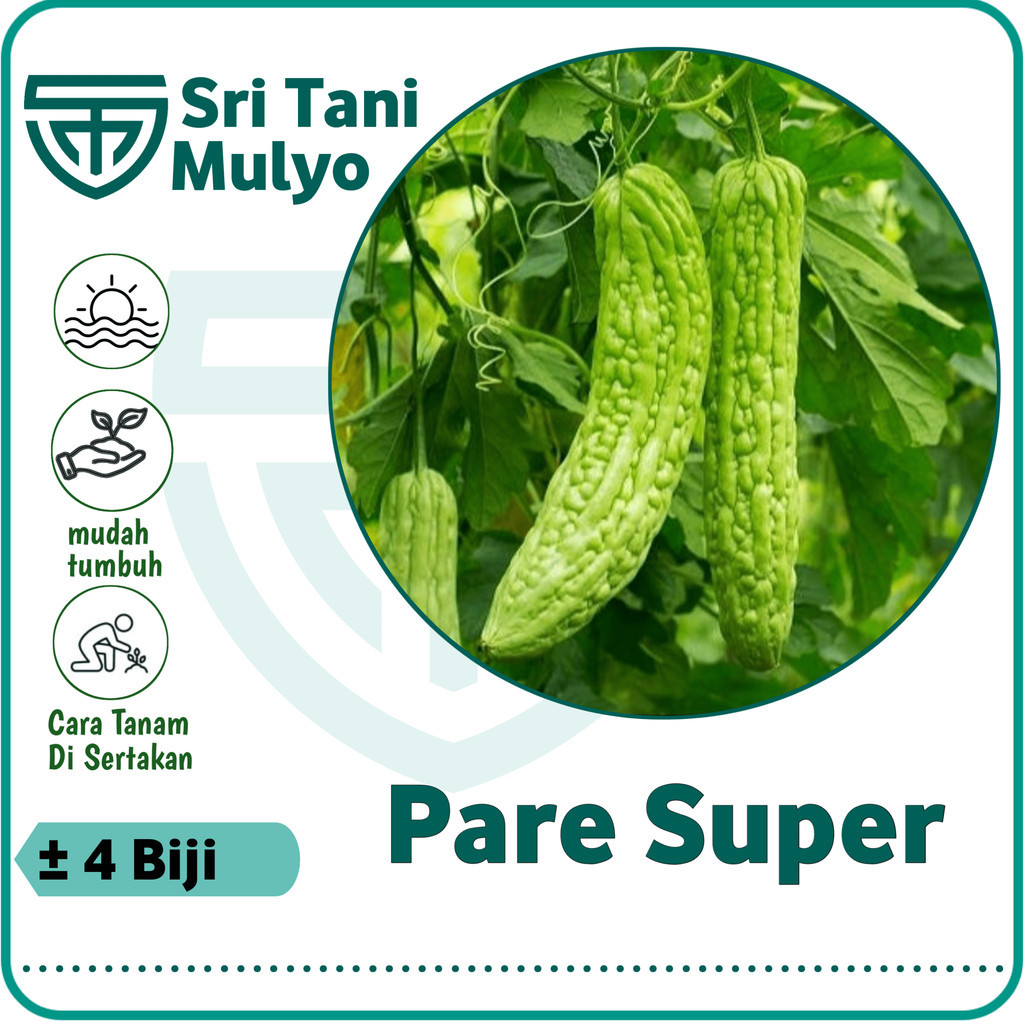 Jual 4 Biji - Benih Pare Paria RADEN F1 - Panah Merah / Biji Pare ...