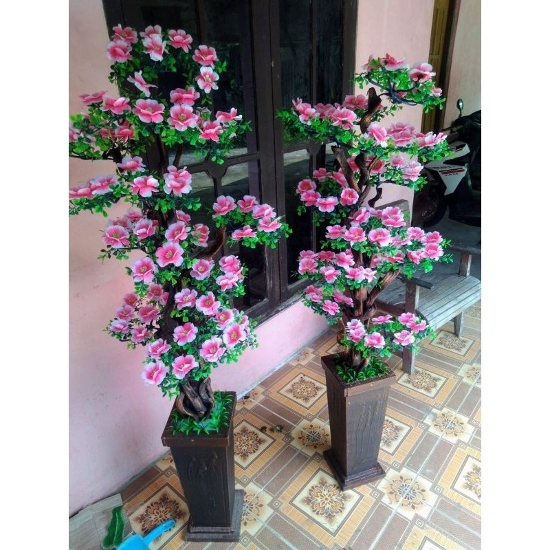 Jual HIASAN SUDUT RUANGAN DENGAN POT JUMBO // BUNGA HIAS SEMANGGI AKAR ...