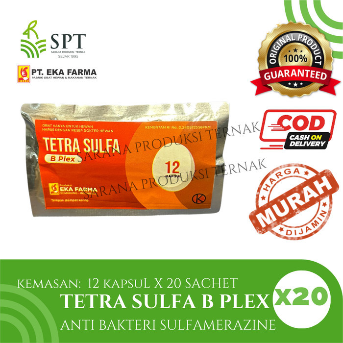Jual OBAT AYAM NGOROK TETRA SULFA B PLEX 12 KAPSUL X 20 SACHET EKA ...