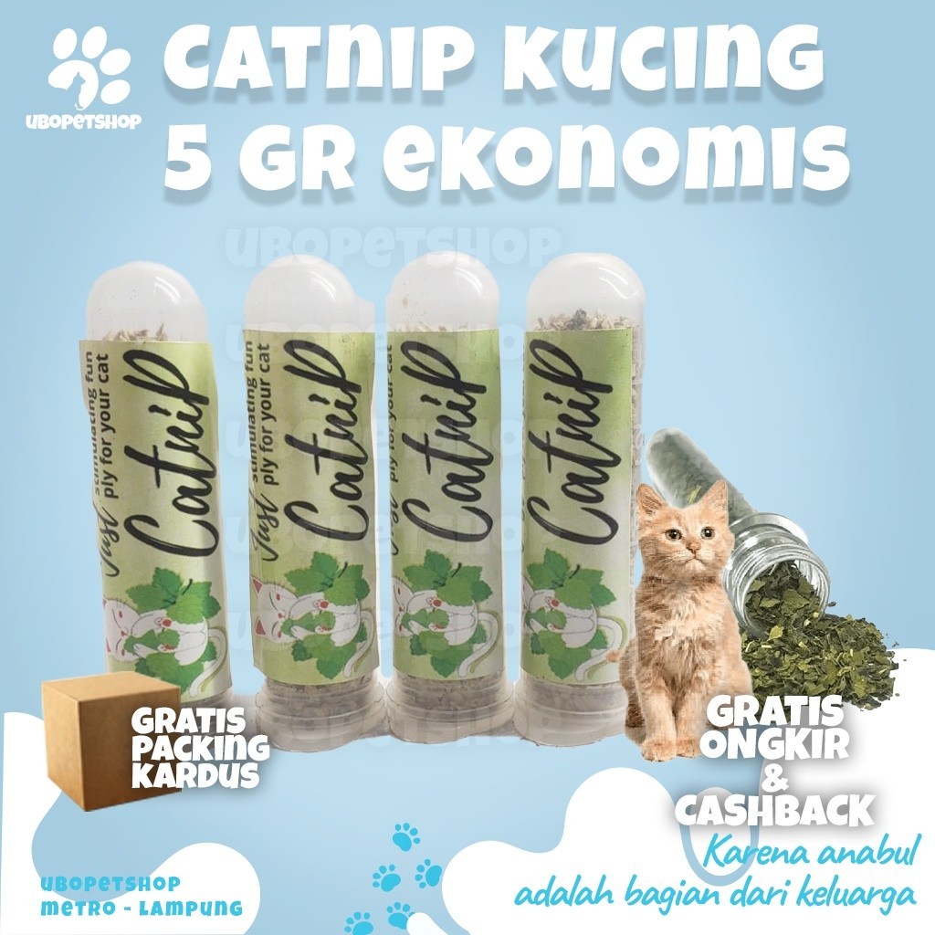 Jual Catnip catmin botol powder disukai kucing kemasan botol kecil 5 gr ... Jual Catnip catmin botol powder disukai kucing kemasan botol kecil 5 gr ...