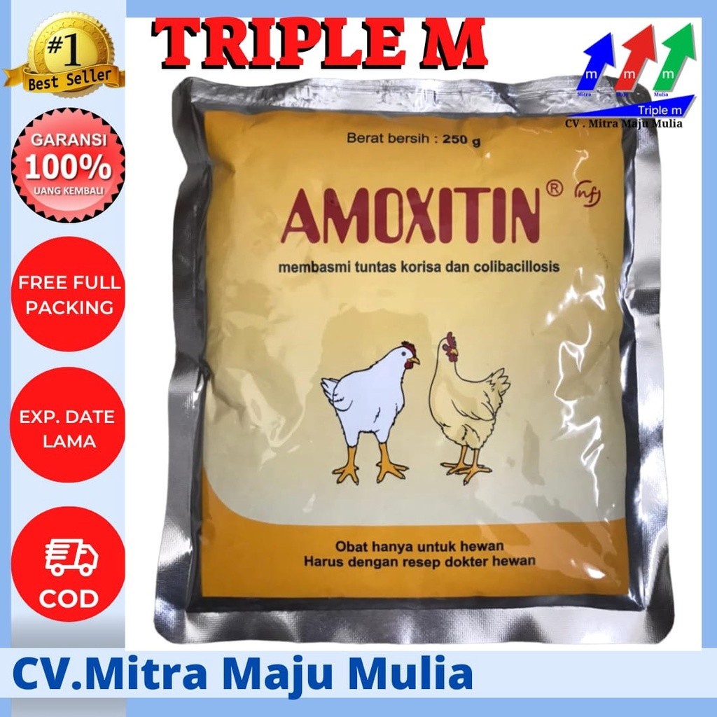 Jual Amoxitin 250 gram MEDION obat korisa | Shopee Indonesia