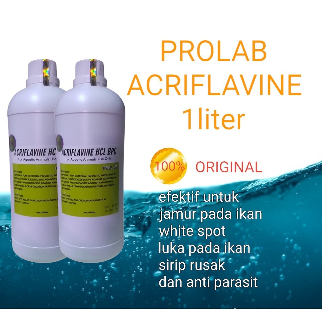 Jual acriflavine 1liter/ acryflavine /acriflavin/acryvlavin/obat ikan ...