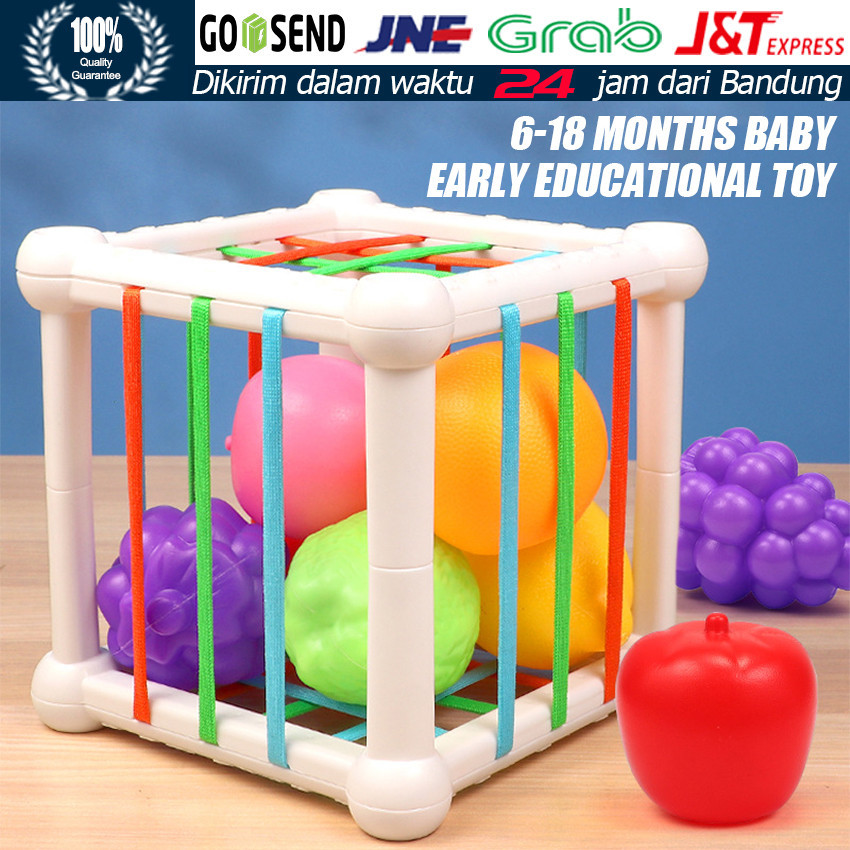Jual Mainan Edukasi Bayi Montessori Textured Touch Rattle Ball Bola ...