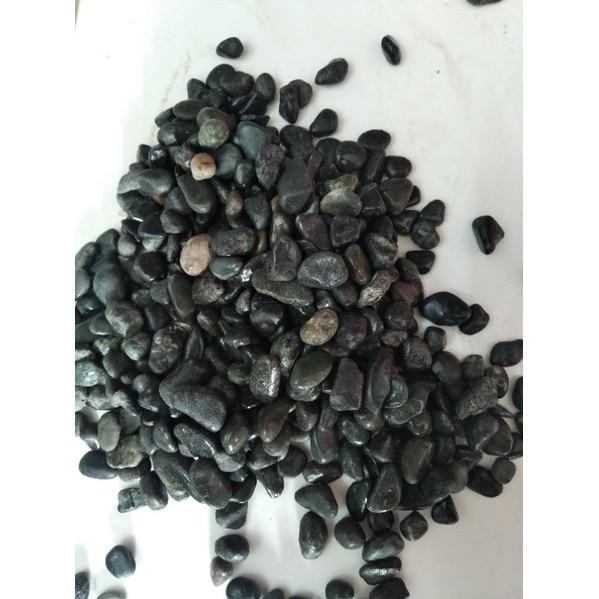 Jual Batu Hias Alor Hitam Bali Koral Untuk Aquarium Aquascape dan Taman ...