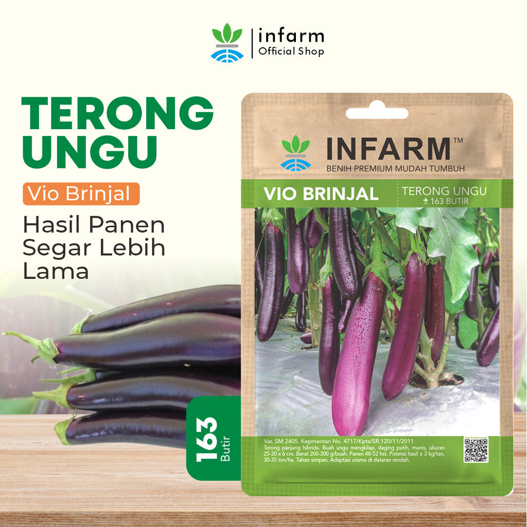 Jual INFARM - Benih Bibit Biji Super Terong Ungu / Terung | Shopee Indonesia