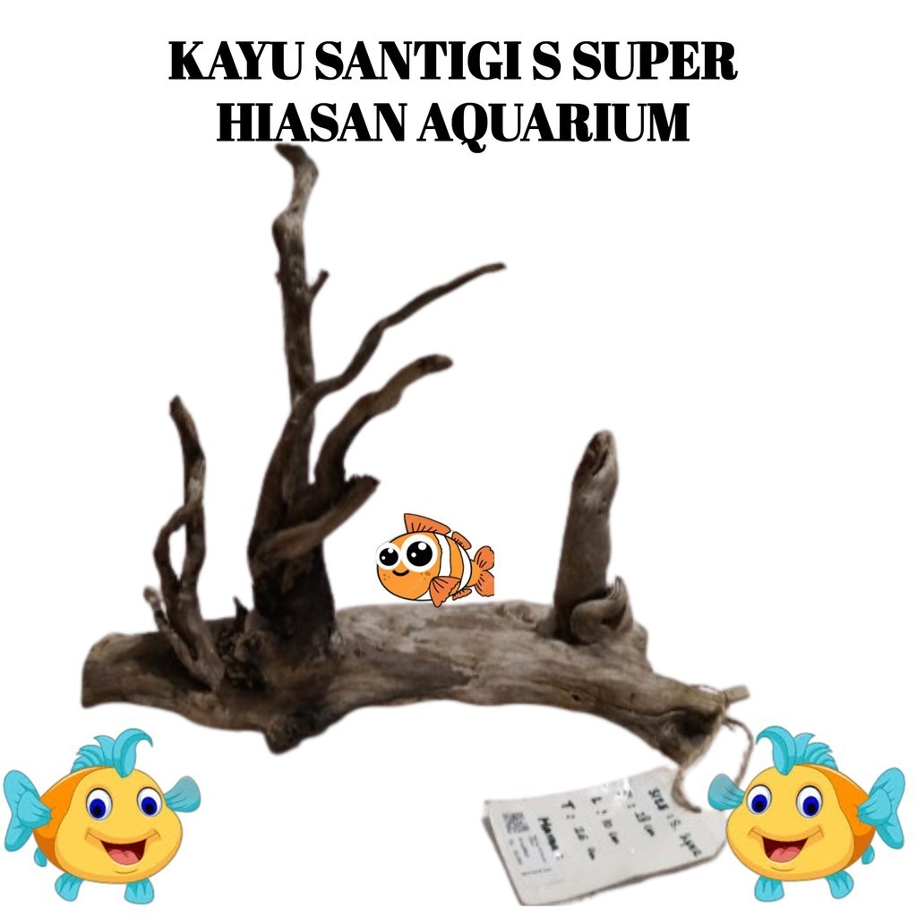 Jual Kayu Akar Santigi Laut Ukuran S Spesial Aquascape Hiasan Aquarium ...
