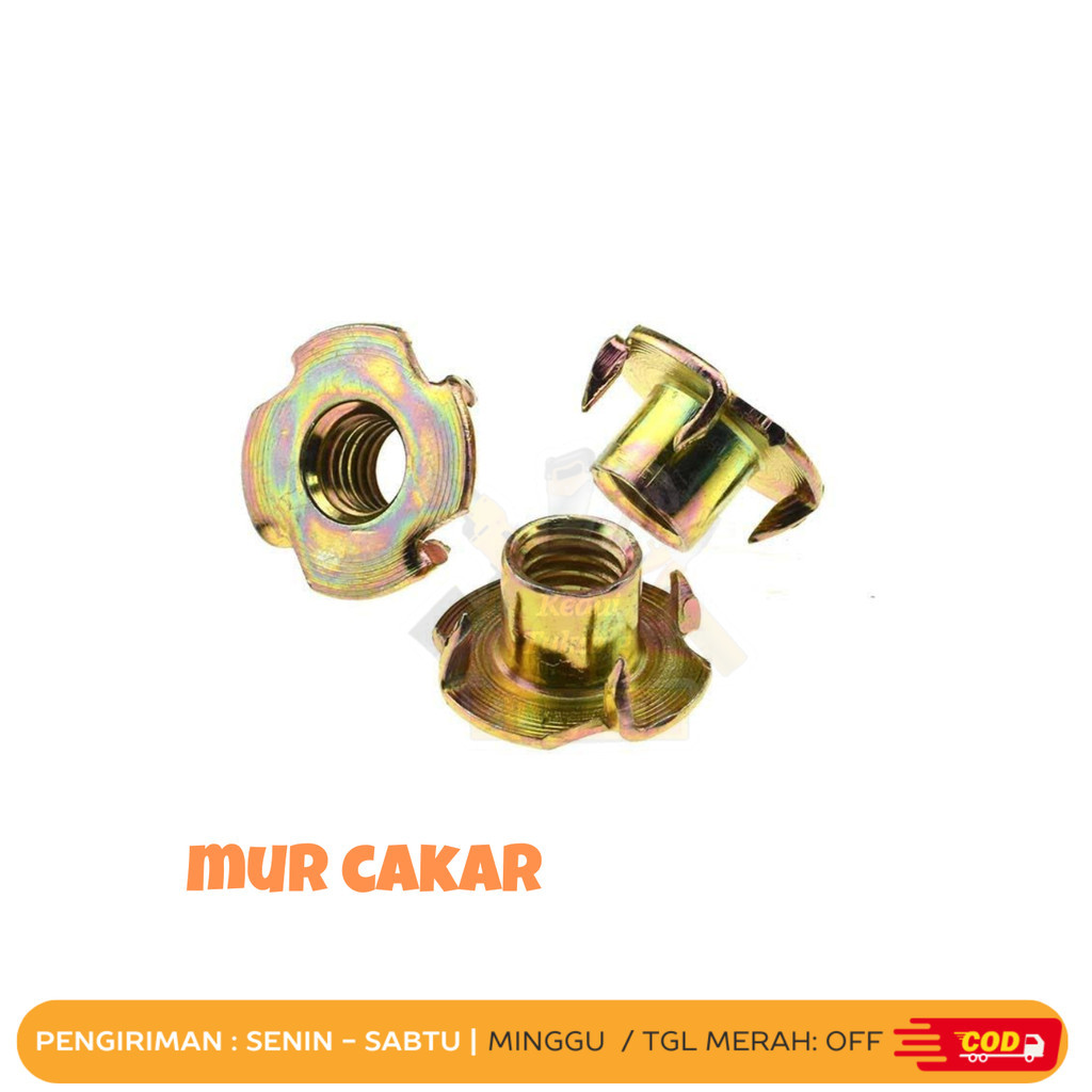 Jual KEDAI TUKANG T Nut Tee Nut M5 M6 M8 Mur Cakar Cakram Mur Tanam Kayu Furniture Speaker ...