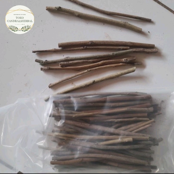 Jual Ranting kayu kering berat 100g untuk kerajinan tangan | Shopee ...