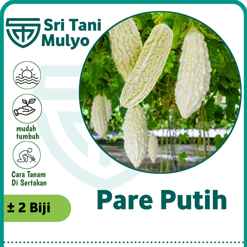 Jual Benih Bibit Pare Putih HIGH MOON - Bibit Tanaman Sayur Sayuran ...