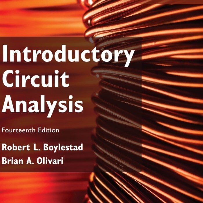 Jual Introductory Circuit Analysis | Shopee Indonesia