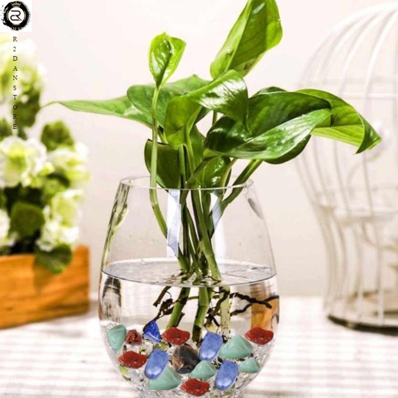 Jual Vase Kaca bening minimalis | Gelas Kaca Esetik Tuscany | Pot Kaca ...