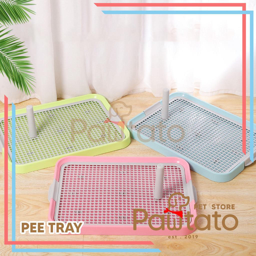 Jual Toilet Anjing Slim Puppy Dog Pee Poop Underpad Tray Potty Training ...