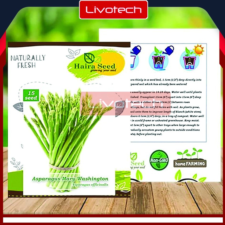 Jual LIVO Benih Asparagus Mary Washington 15 Seed Original Haira Seed ...