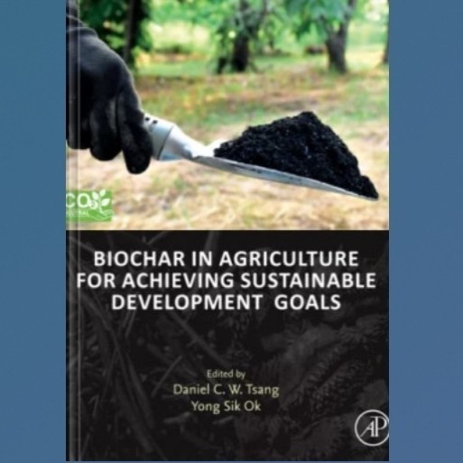 Jual Buku Biochar in Agriculture for Achieving Sustainable Development | Shopee Indonesia