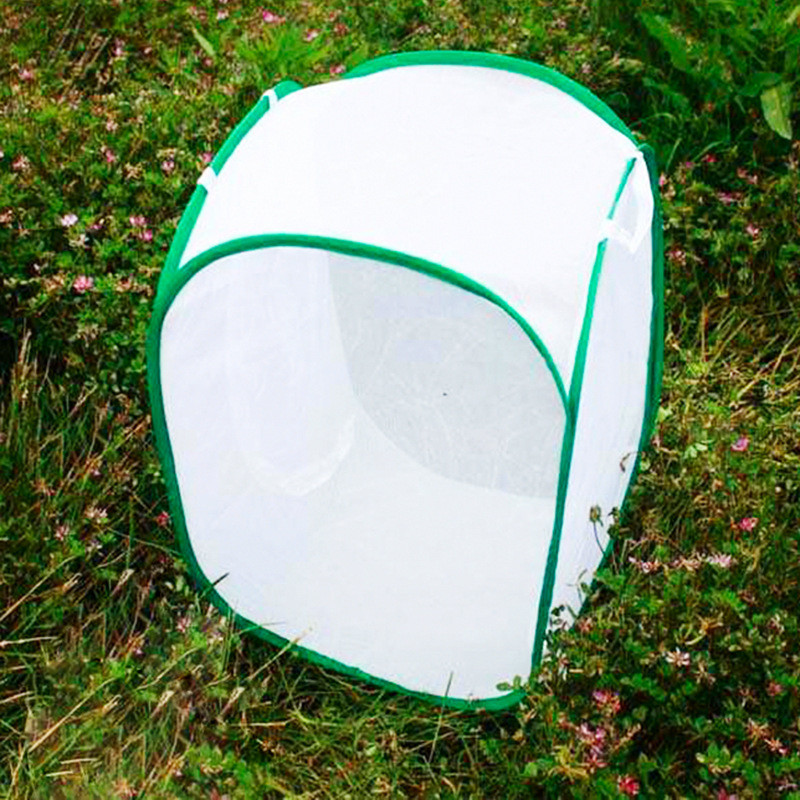 Jual Butterfly Insect Habitat Cage Green collapsible insect cage Mesh ...