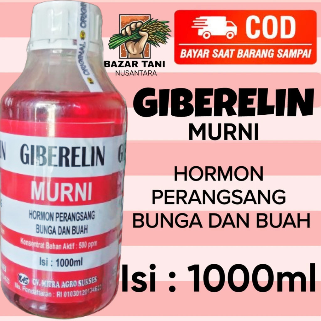 Jual [ BTN ] GIBERELIN MURNI Hormon Perangsang Bunga dan Buah isi ...