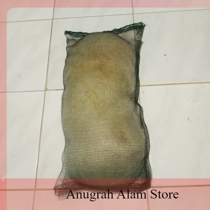 Jual Filter jaring Nelayan 30x60 cm ( pengganti Japmat ) | Shopee Indonesia