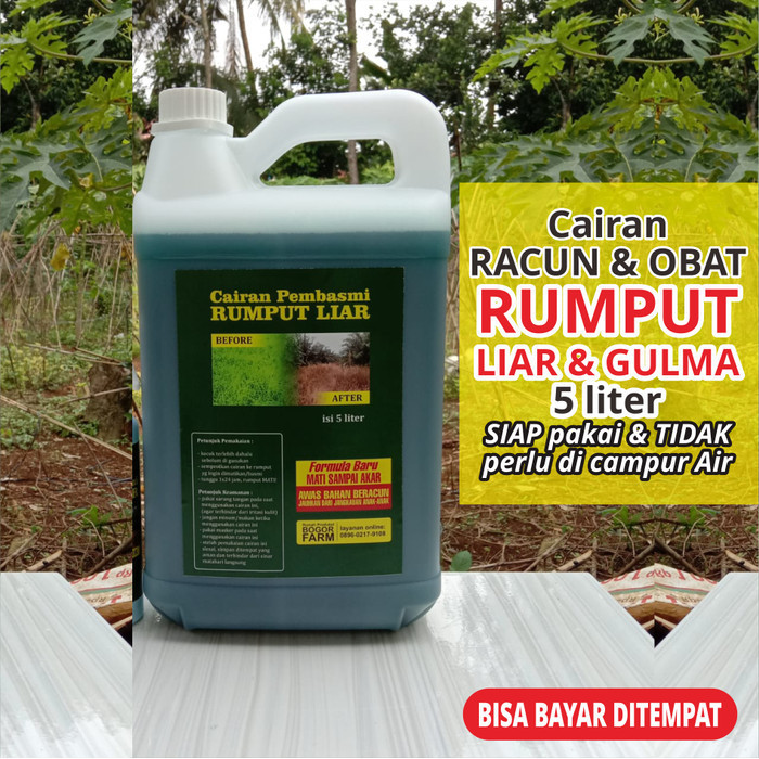Jual [bogorfarm]Cairan PEMBASMI RUMPUT LIAR & GULMA 5 liter | Shopee ...